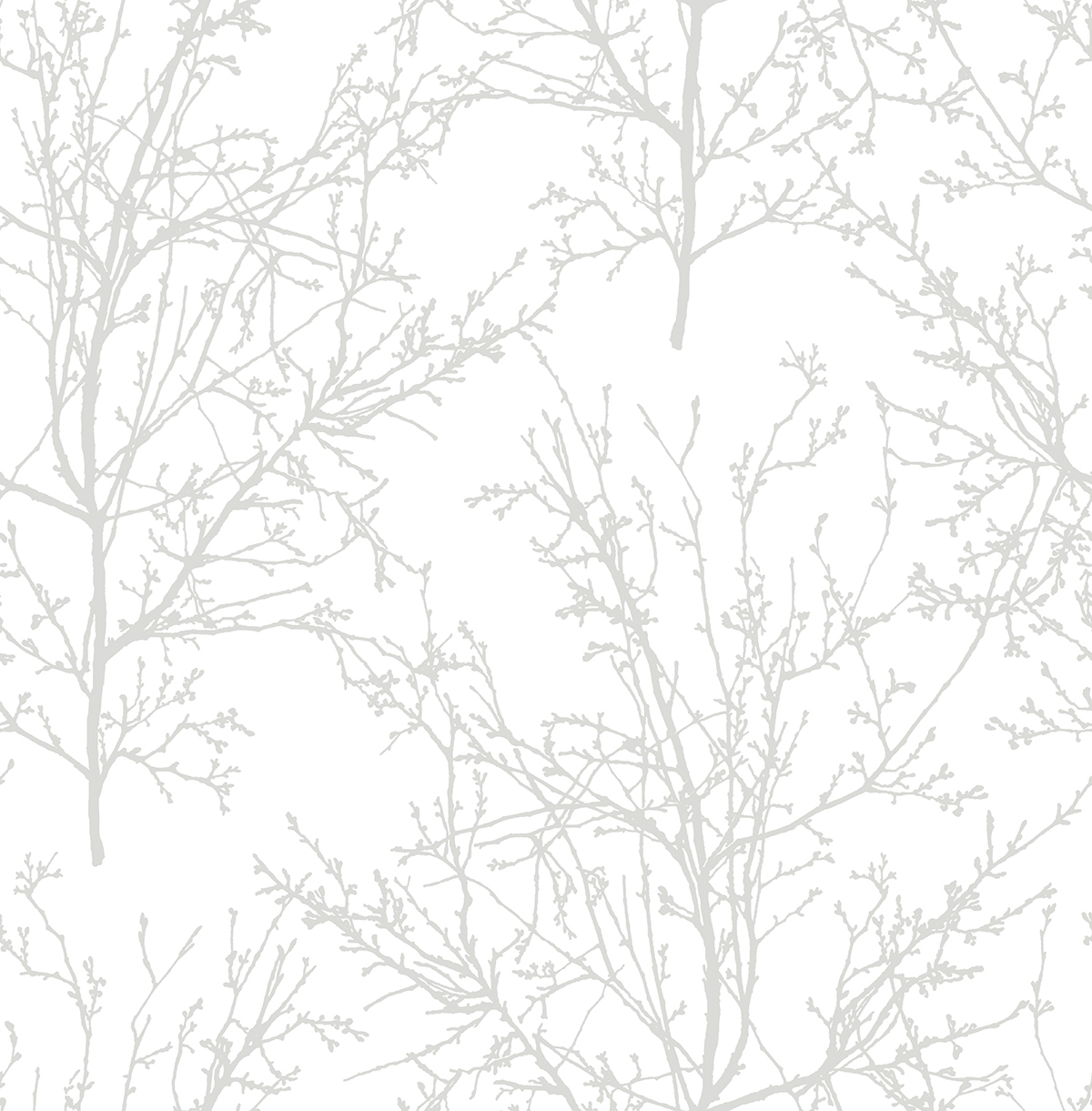 Tree Branches | Nextwall Wallpaper